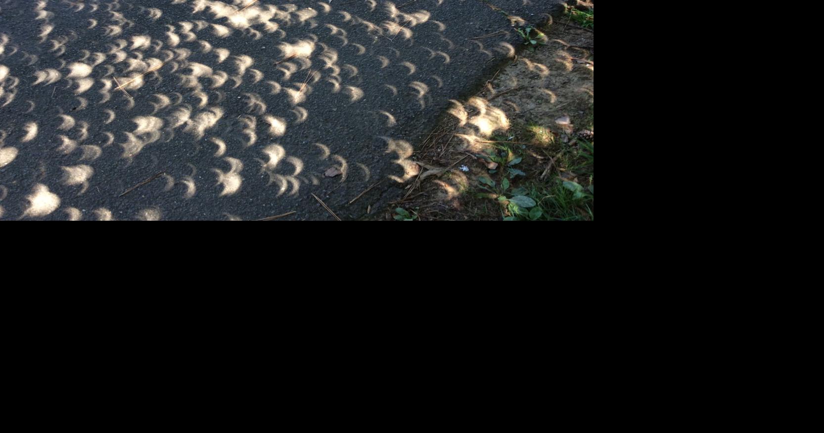 Unique Pictures From Eclipse | News | advertisergleam.com