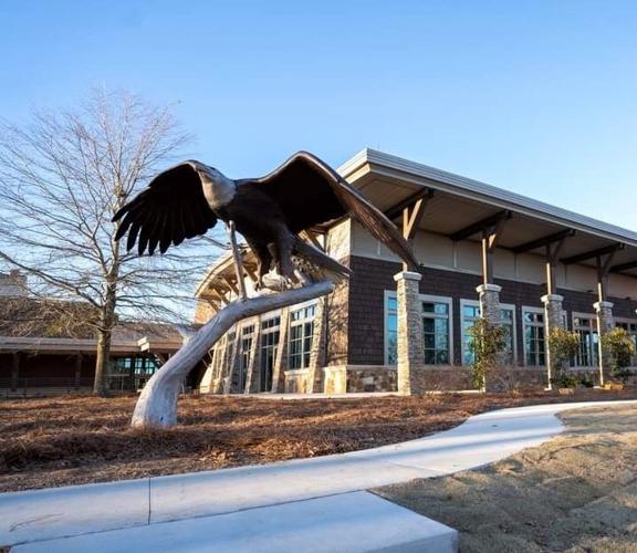 Eagle Awareness loses a weekend | News | advertisergleam.com