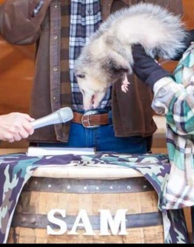 Sand Mtn. Sam says early spring | News | advertisergleam.com