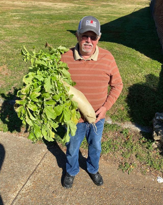 10 lb. radish his biggest yet | News | advertisergleam.com