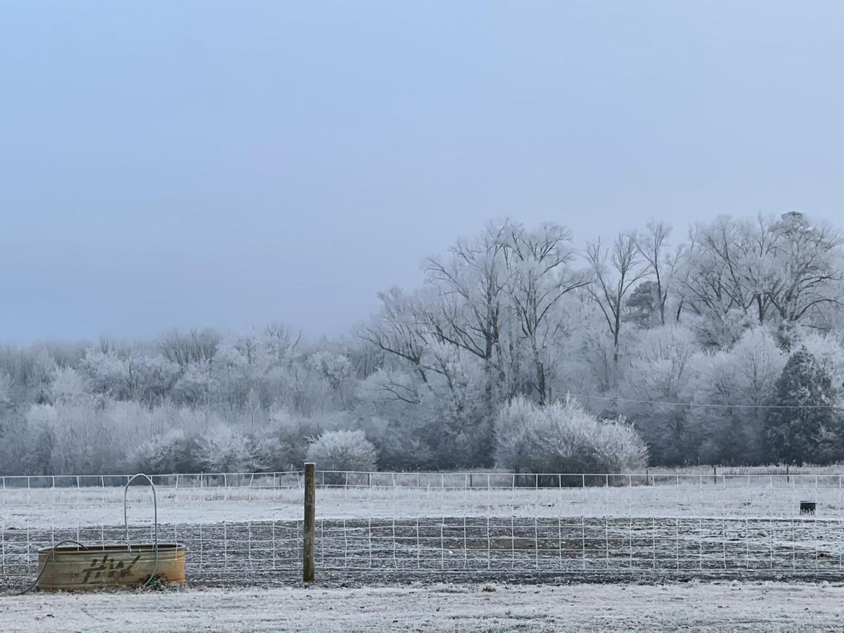 Freezing fog looked like snow | News | advertisergleam.com