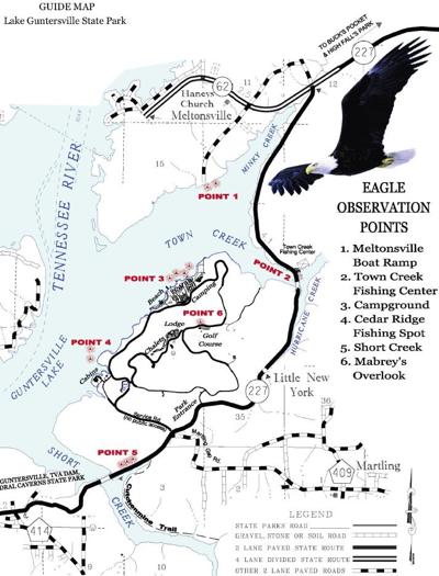 Eagle Awareness at State Park | News | advertisergleam.com