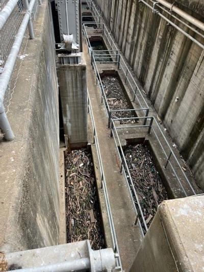 Litter & debris at G’ville Dam | | advertisergleam.com