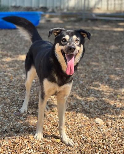 Asher's deadline draws night | | advertisergleam.com