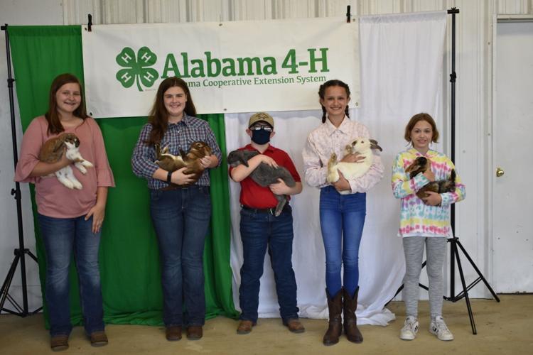 They were winners in rabbit show | Local News | advertisergleam.com