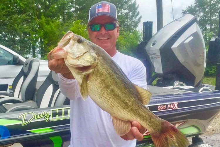 Davy Hite: Records Could Be Broken | News | advertisergleam.com