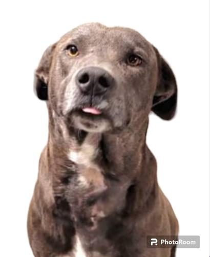 Say hi to Fry | | advertisergleam.com