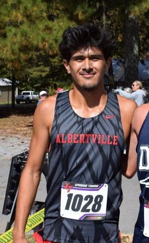 Top A'ville runner hit by car | News | advertisergleam.com