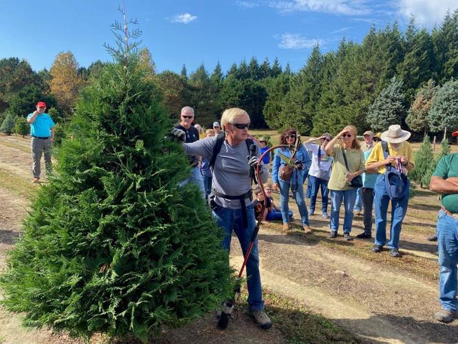 He's always loved Christmas trees | News | advertisergleam.com