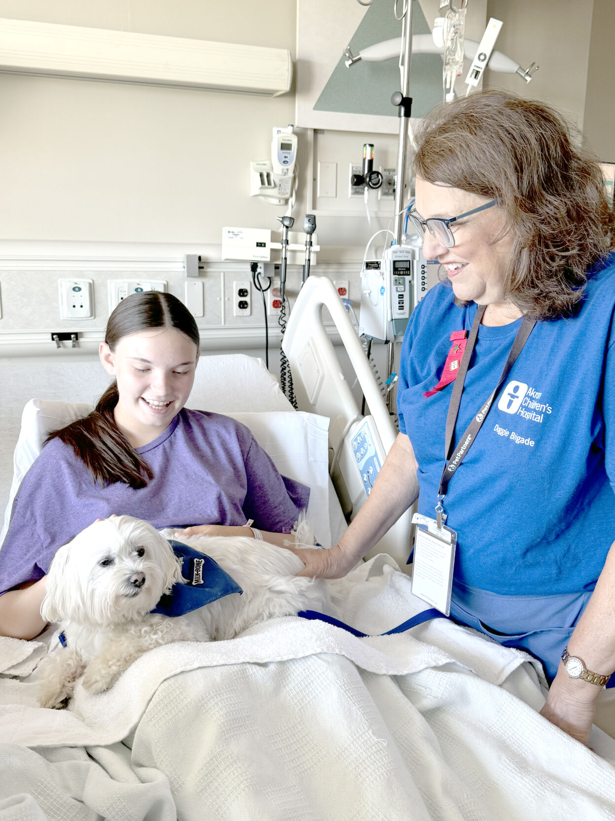 Akron Children’s ‘Doggie Brigade’ brings healing, joy to patients ...