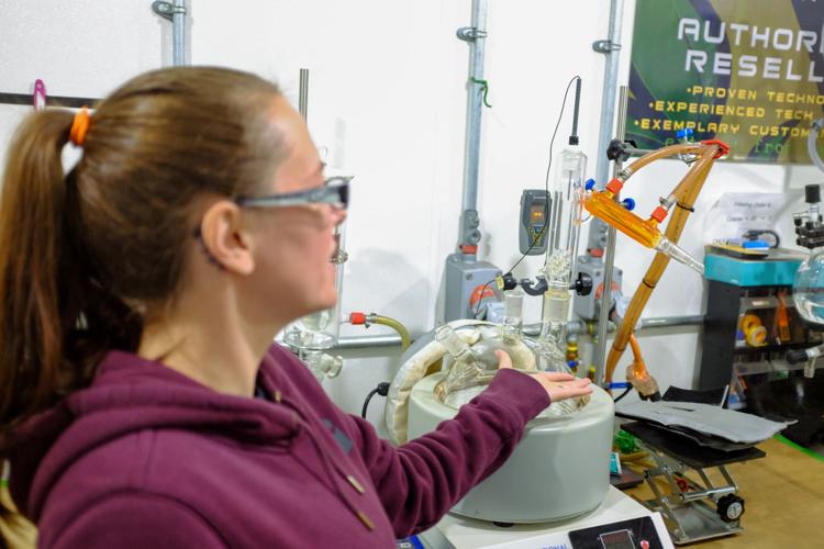 Passion for perfection: At Einstein Labs, only the very best will do | News | alaskacannabist.com