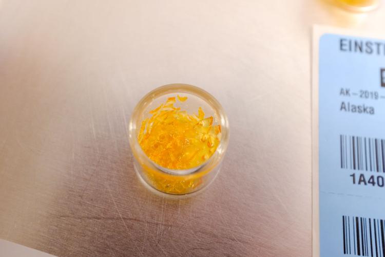 Passion for perfection: At Einstein Labs, only the very best will do ...