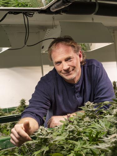 New hope turns cultivator from spuds to buds | News | alaskacannabist.com