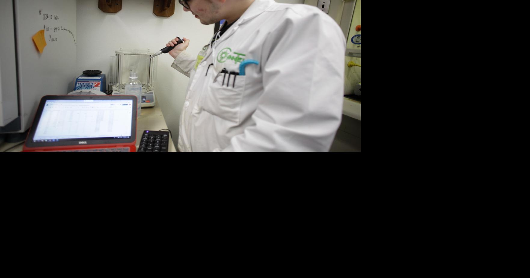 Anchorage lab on the cutting edge of cannabis science | News ...
