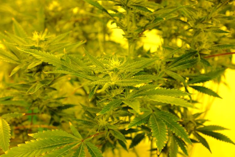 Passion for perfection: At Einstein Labs, only the very best will do ...