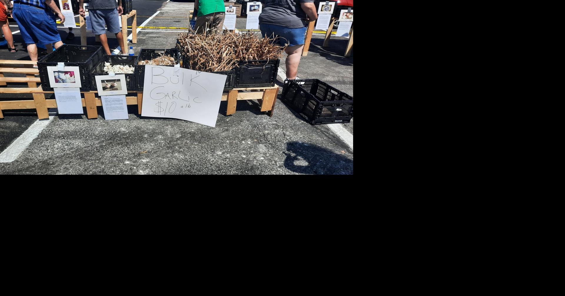 Garlic Fest comes back to St. Louis area for its 13th year | Lifestyles ...