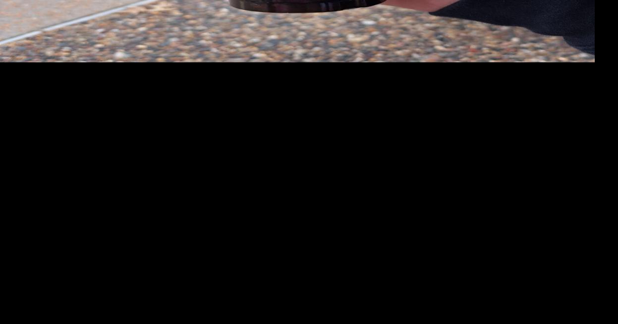 Kung Fu Tea provides fun, cheap boba flavors | Lifestyles | alestlelive.com