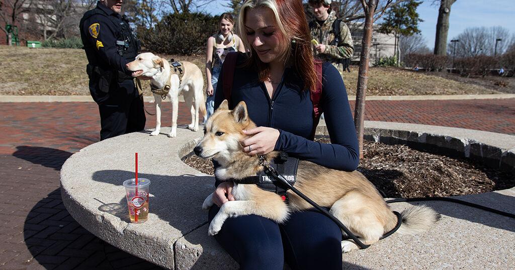 New recruits: ‘Pawfficers’ join SIUE Police, create positive ...