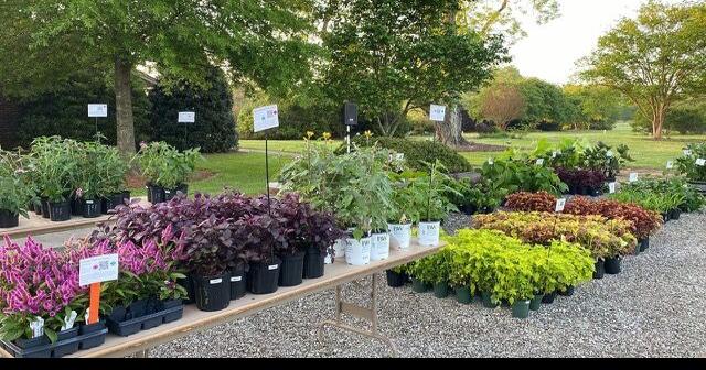LSU AgCenter Hammond Research Station hosts 2023 Spring Garden Day ...