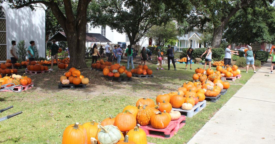 Grace Memorial Pumpkin Patch kicks off with community spirit and ...
