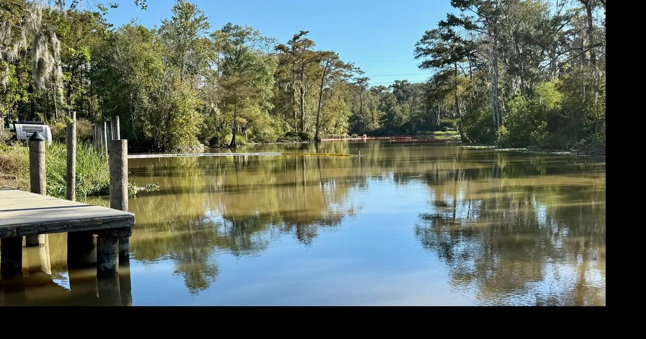 Portion of Tangipahoa River from Lees Landing to Lake Pontchartrain ...