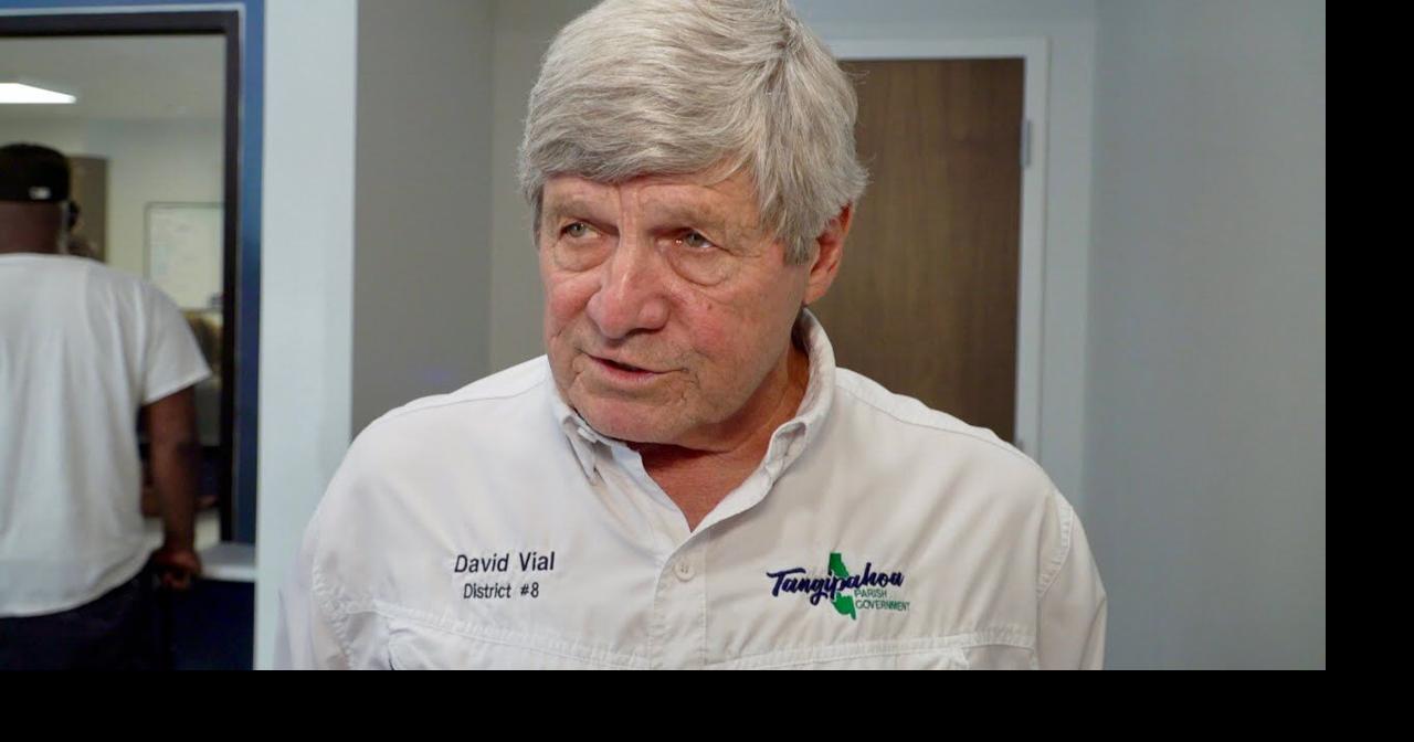 David Vial | Video | an17.com