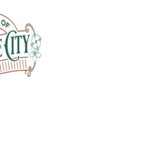 Amite police chief says budget cuts could be 'extremely dangerous' to ...