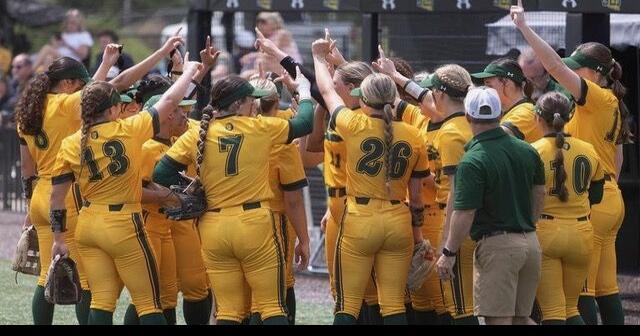 SOFTBALL: SLU announces eight additions for 2025 | Sports | an17.com