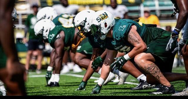 Southeastern Football Position Report: Defensive Line | Sports | an17.com