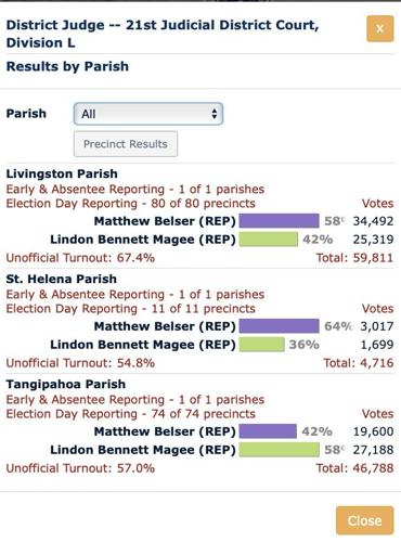 Belser wins District L judge's race | Politics | an17.com