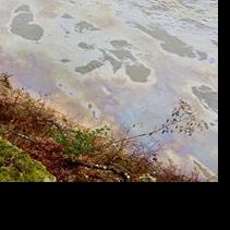 Clean up continues after motor oil enters Tangipahoa River | News ...