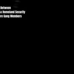 STPSO: Joint investigation results in arrest of several Vulture Gang ...