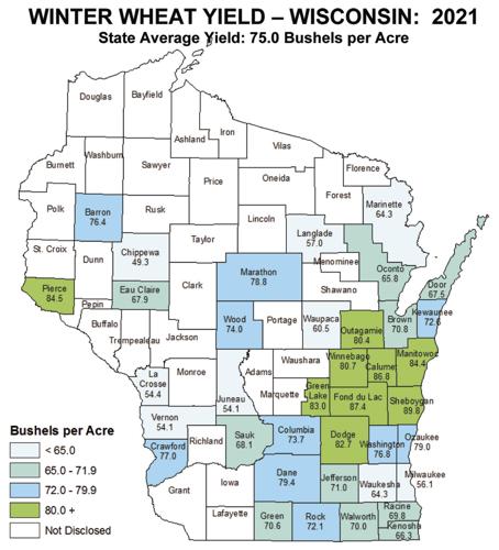 Wisconsin winter wheat production numbers released | Local News ...