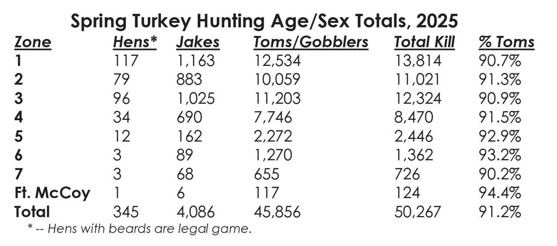 Durkin: Wisconsin turkey hunters notch fifth-best spring season ...