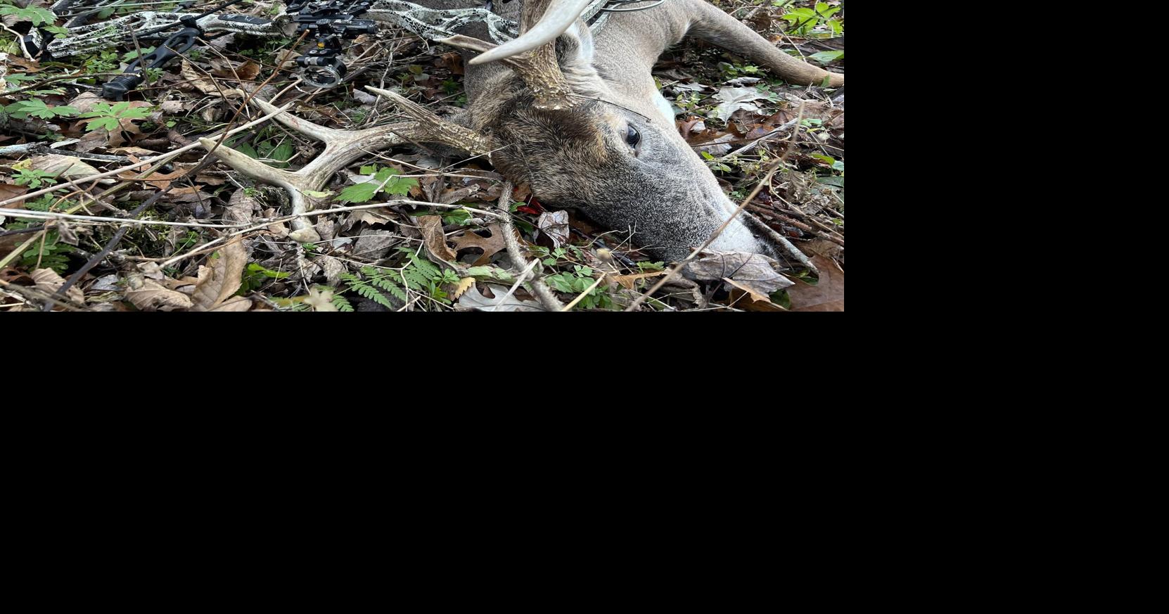 Durkin: Sick deer, bones and skeletons common with CWD in Wisconsin ...