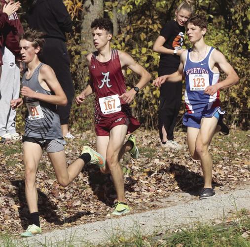 Antigo's Higgins qualifies for state meet | Sports | antigojournal.com
