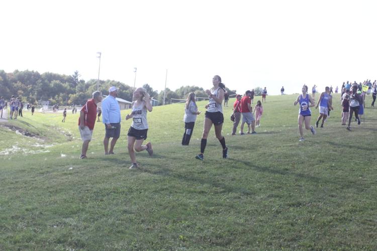 More lower times as Robins run at Witt-Birn Invite | Sports ...
