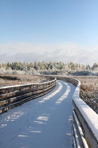 Longer link: 3-mile Springbrook Trail extension set to open in 2024 ...