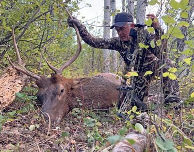Patrick Durkin: Stubborn perseverance pays off on elk bowhunt | Sports ...