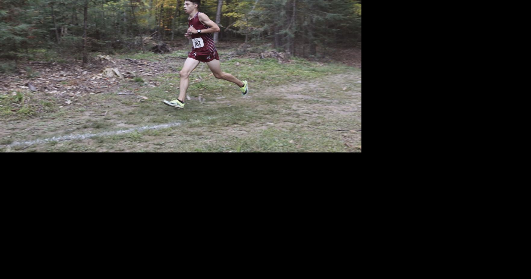 Higgins, L'Esperance lead cross country runners at Northland Pines ...