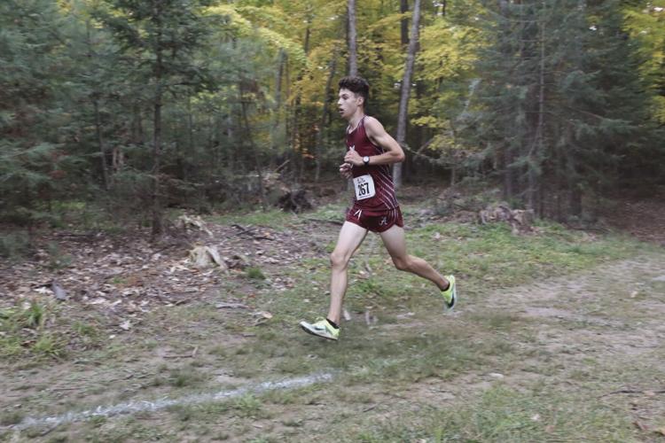 Higgins, L'Esperance lead cross country runners at Northland Pines ...