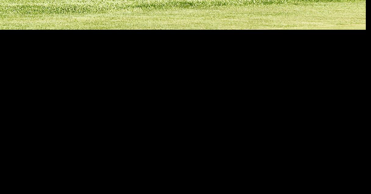 Wittenberg-Birnamwood boys golf gains ground in CWC play | Sports | antigojournal.com