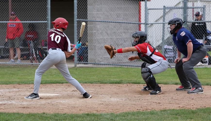 Stallions baseball | Sports | antigojournal.com