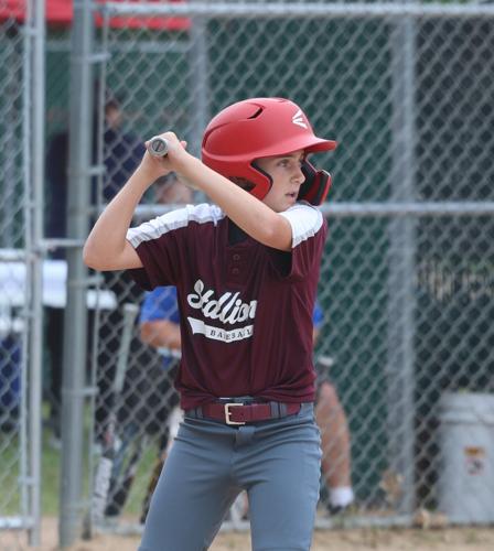 Stallions baseball | Sports | antigojournal.com