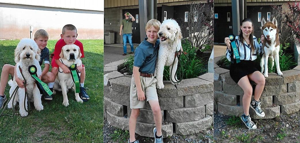 4-H DOG PROJECT RESULTS | News | antigojournal.com