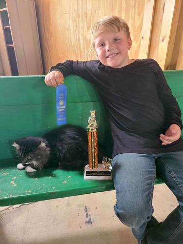4-H Cat Project results | News | antigojournal.com