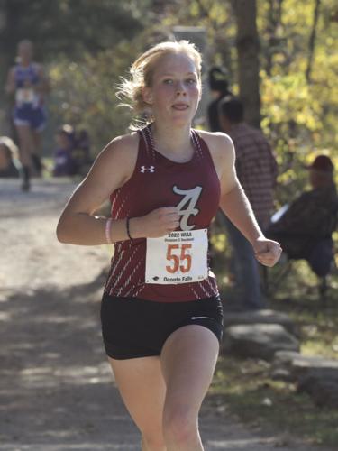 Antigo's Higgins qualifies for state meet | Sports | antigojournal.com
