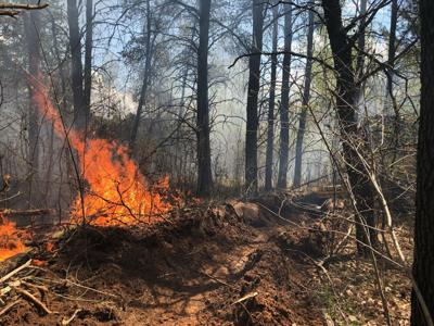Wildfire season means get DNR permits before burning | Local News ...