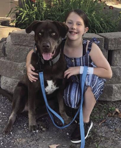 Winners announced in 4-H Dog Project annual show | Local News ...