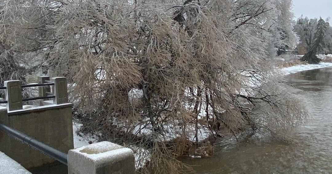 Destructive beauty. Ice storm brings downed trees, widespread power ...